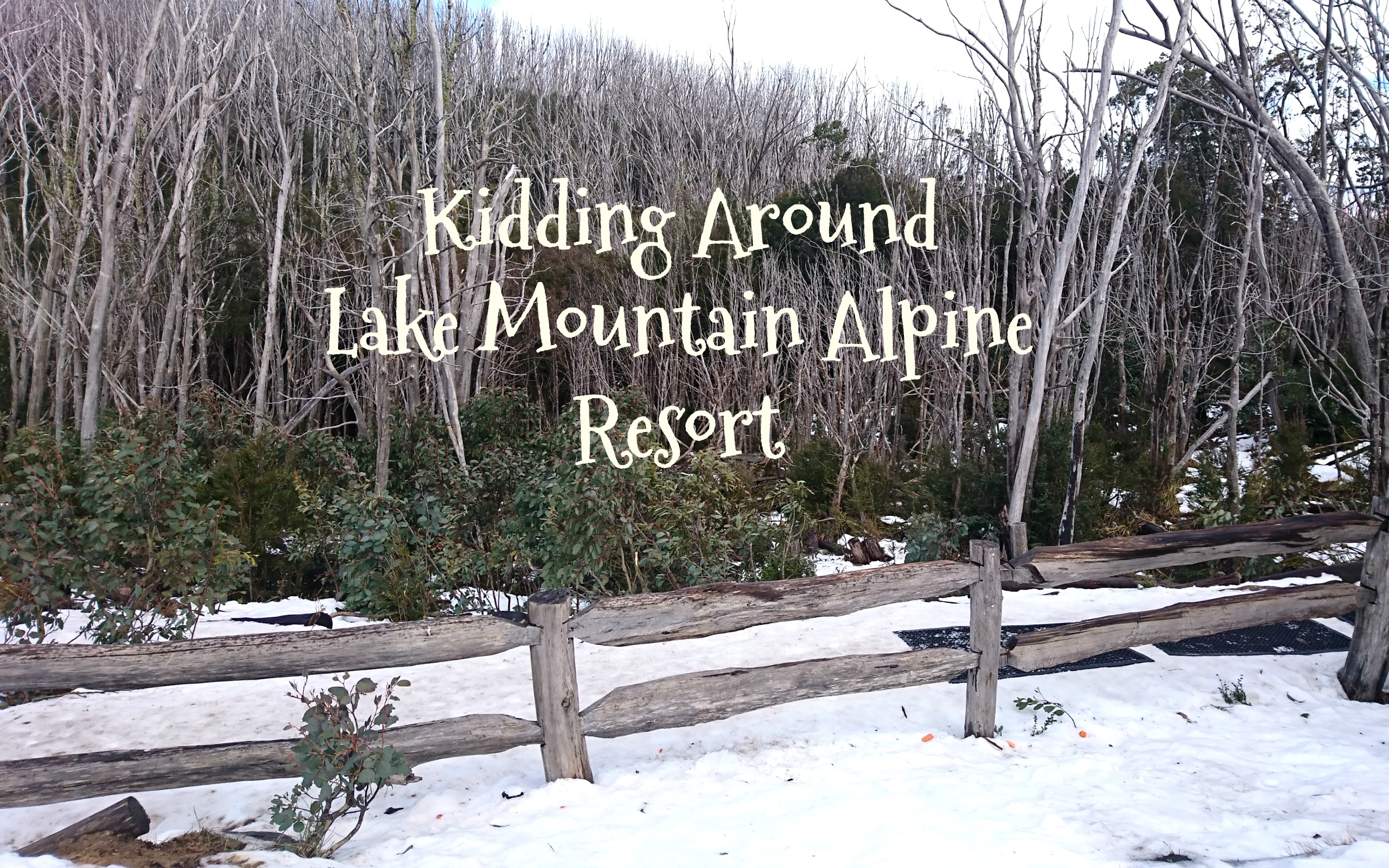 LAKE MOUNTAIN ALPINE RESORT – 6 MUST DO ACTIVITIES TO DO AT LAKE ...